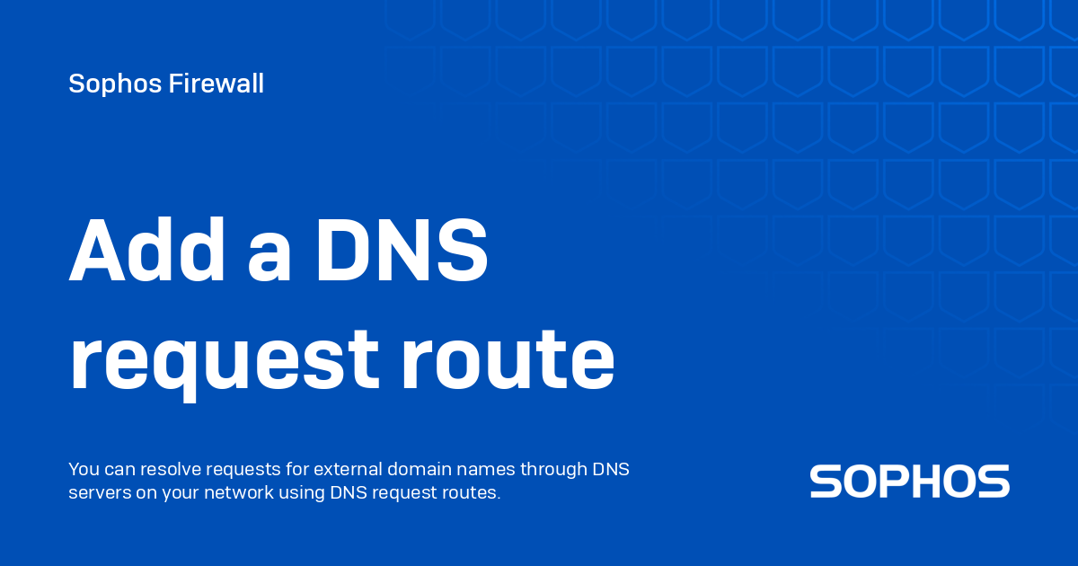 Add a DNS request route - Sophos Firewall